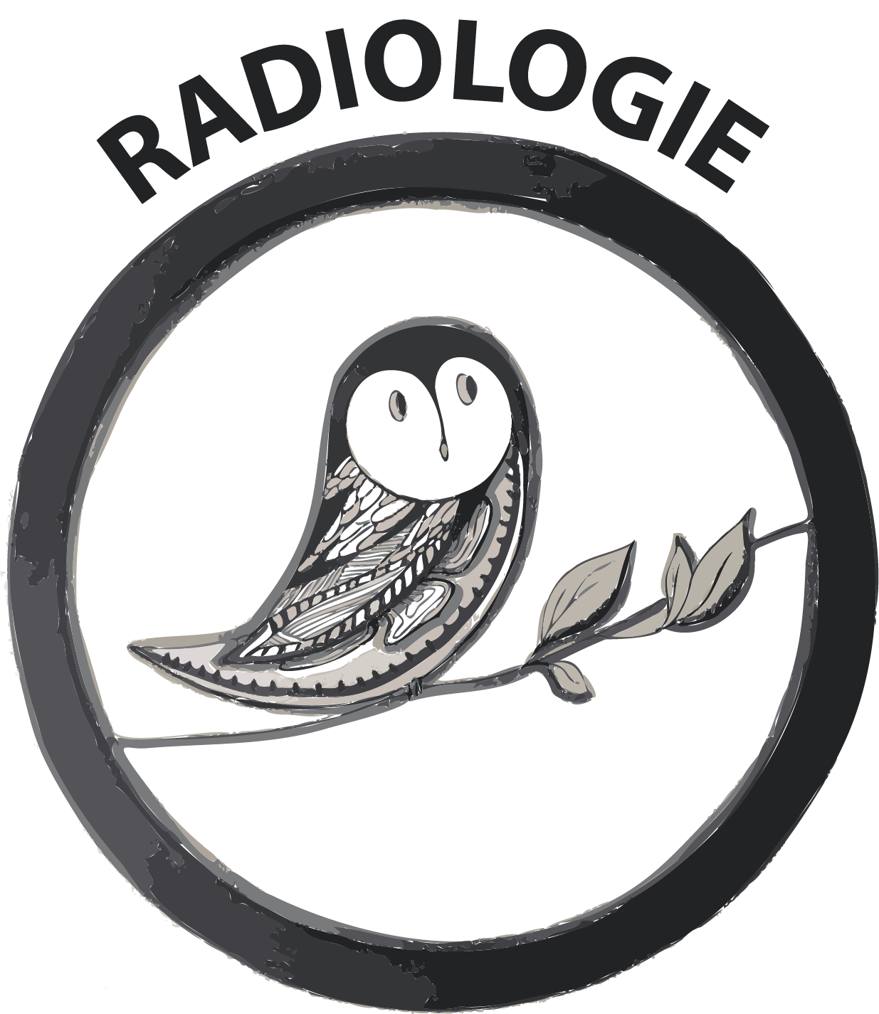 imagerie – Centre Hospitalier Paul Ardier